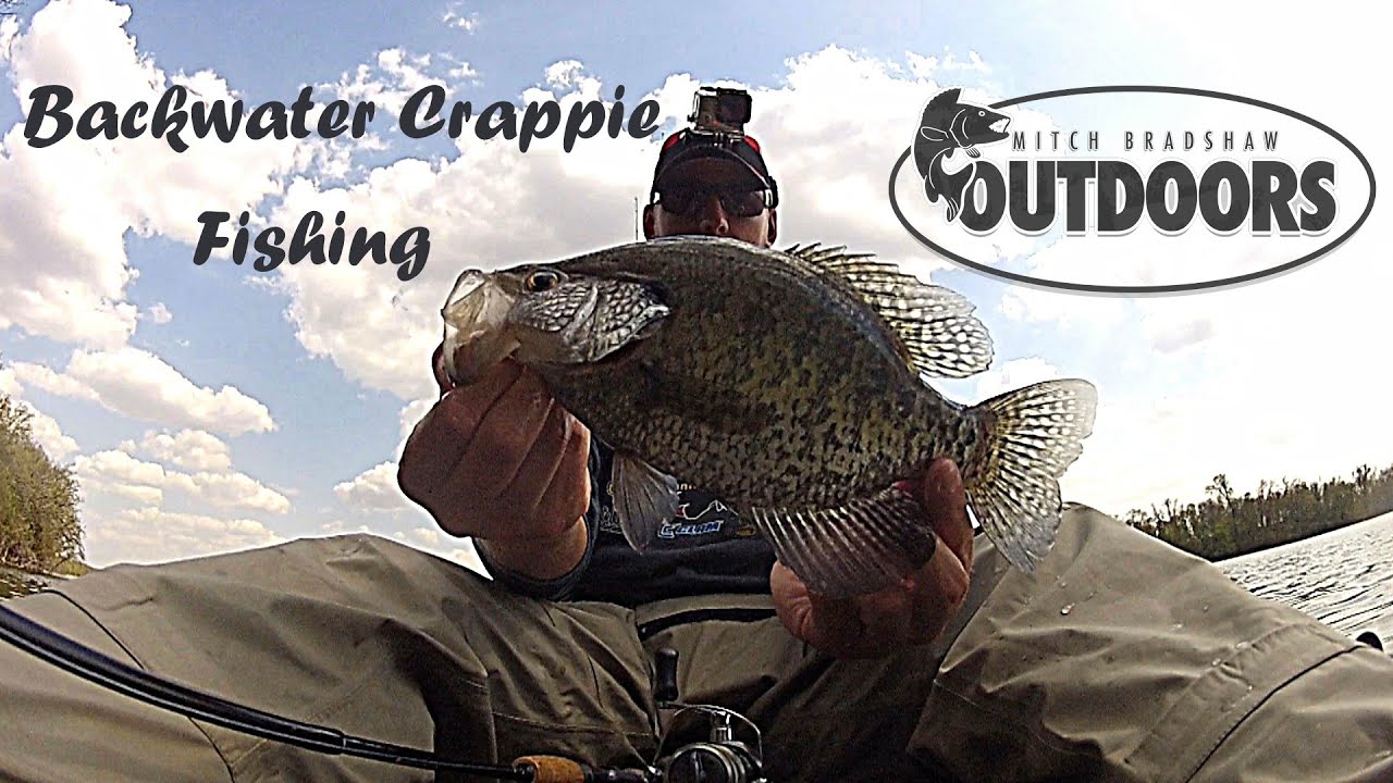 Minnesota Backwater Crappie Fishing - YouTube