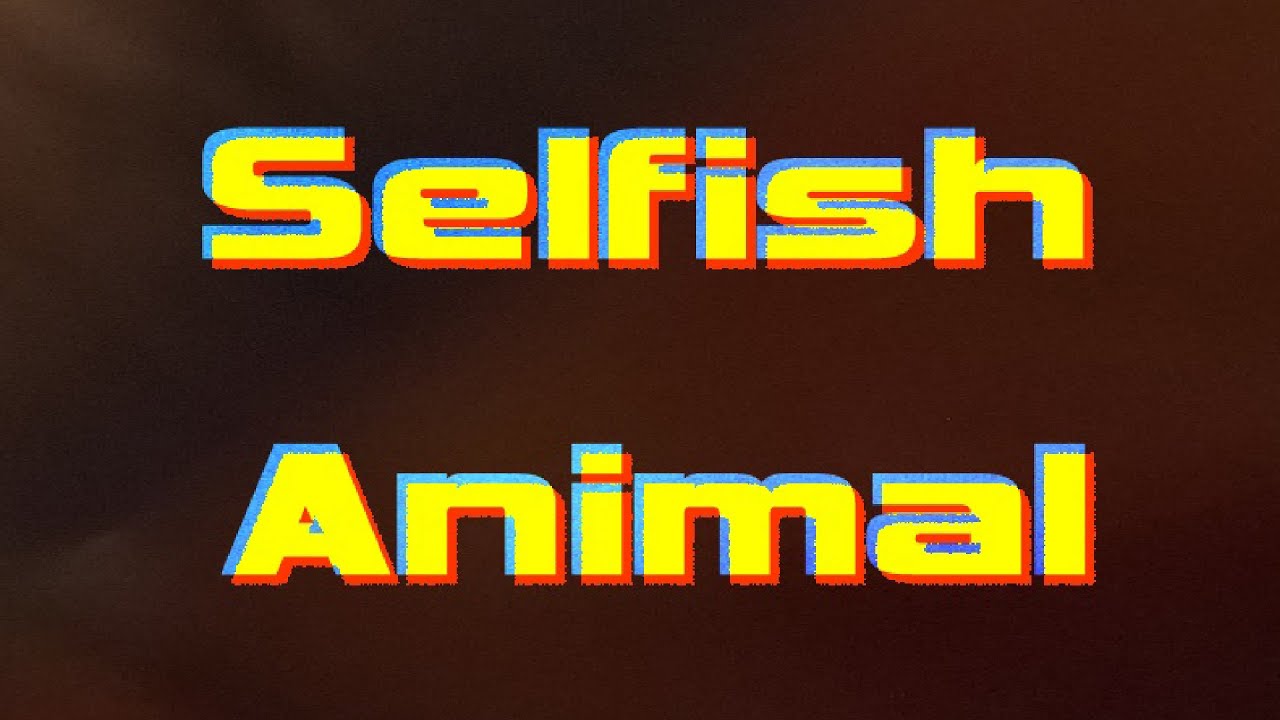 Kyle Landon - Selfish Animal - YouTube