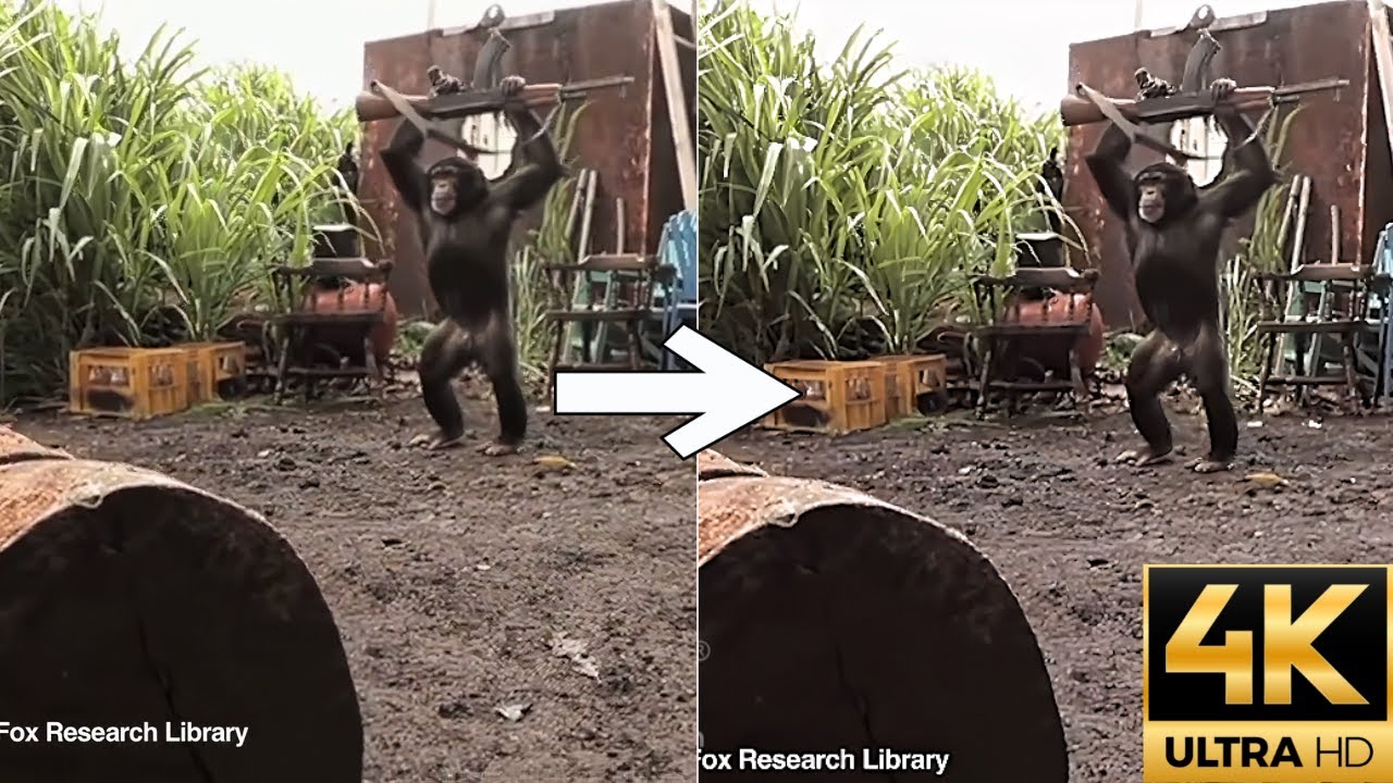 Ape With AK-47 | 4K Remastered - YouTube