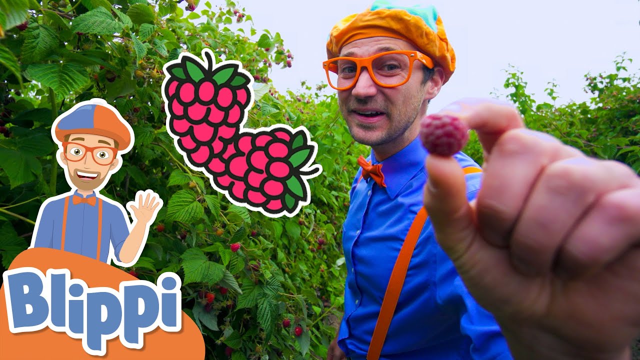 Blippi Visits a Raspberry Factory! | Learn Healthy Eating For Kids ...