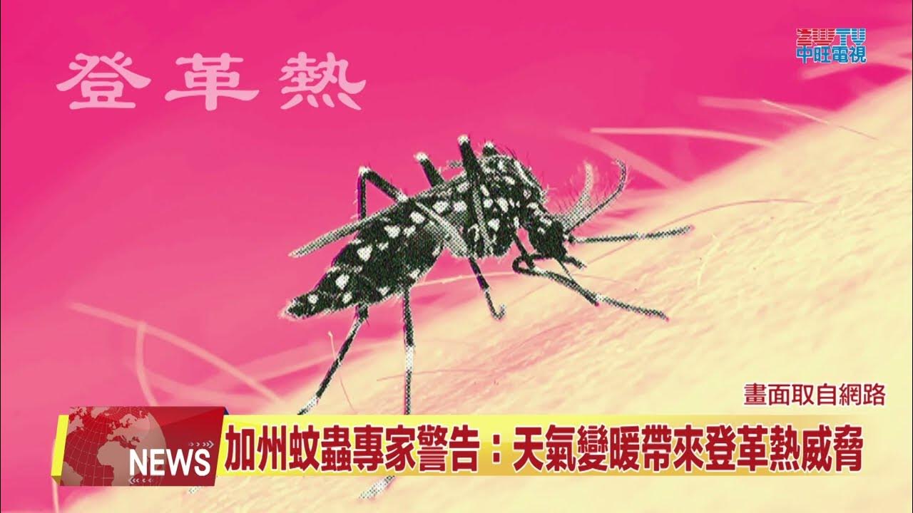 2025 4 16北美 1 北美要聞 2'29" - YouTube