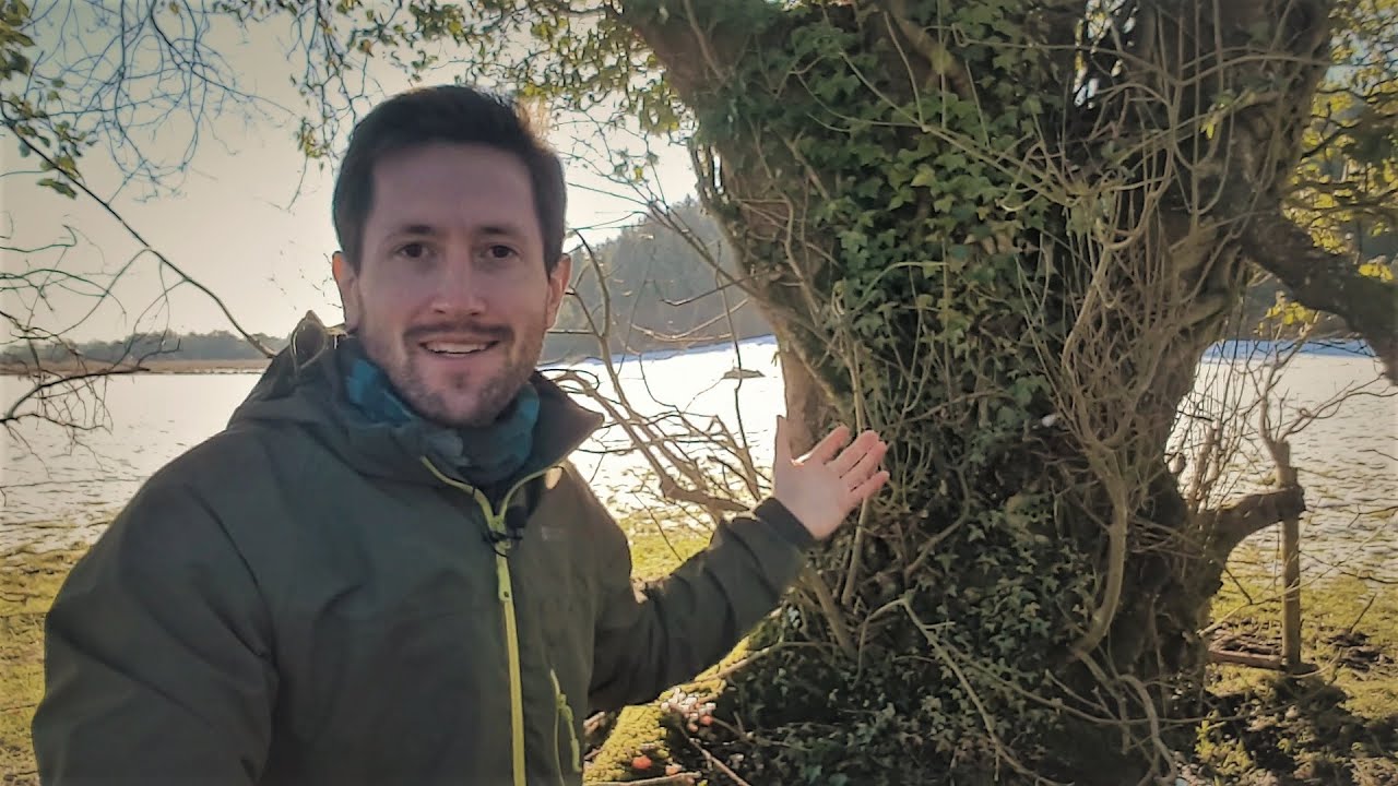 Managing Trees for Self-sufficiency: Permaculture and Coppicing - YouTube