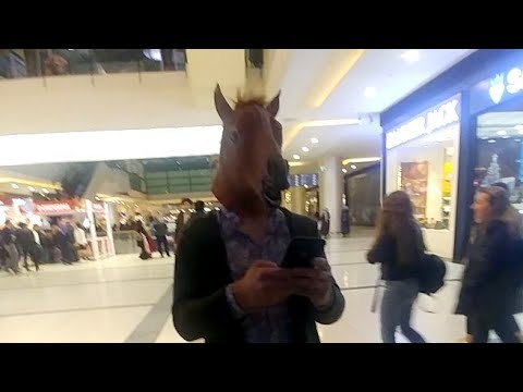 At Kafası Trol Canlı