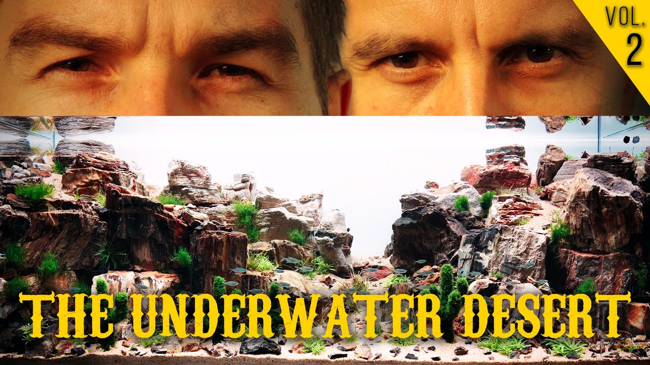 The UNDERWATER DESERT | Volume 2 - Planting - YouTube