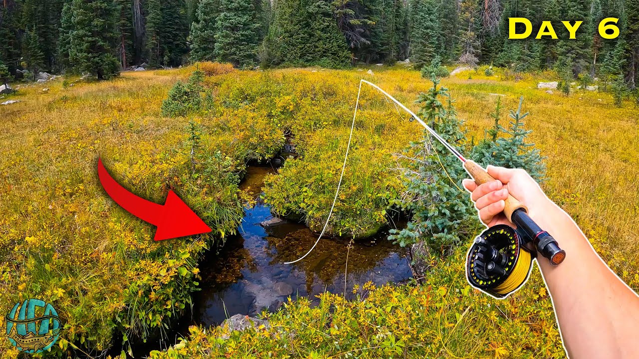 Catching trout out of a PUDDLE?? (Fly Fishing) - YouTube
