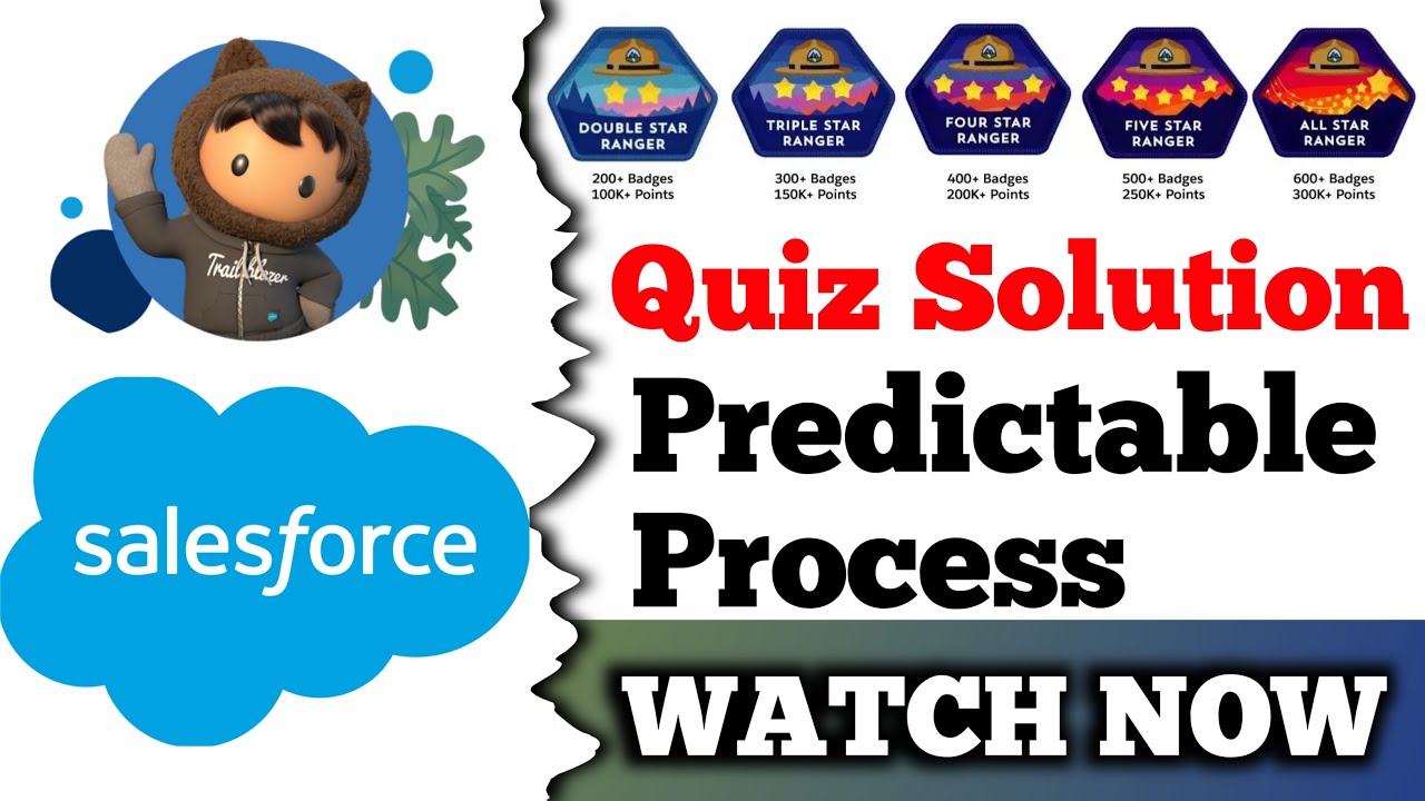 Predictable Process | Salesforce Trailhead | Quiz Solution - YouTube