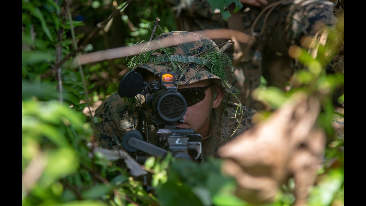 The Future of the US Marine Corps - Force Design 2030 - YouTube