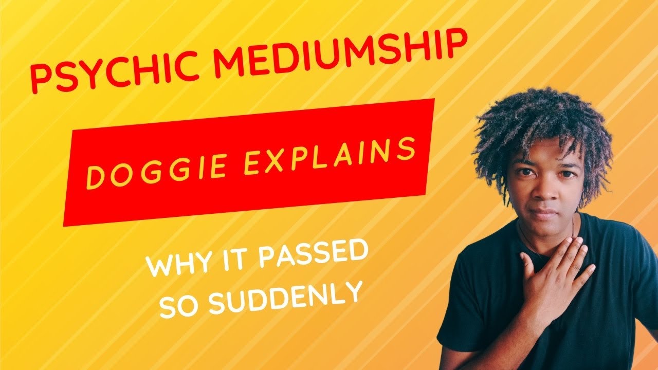 PSYCHIC MEDIUMSHIP Dog Explains Why He Suddenly Passed - YouTube