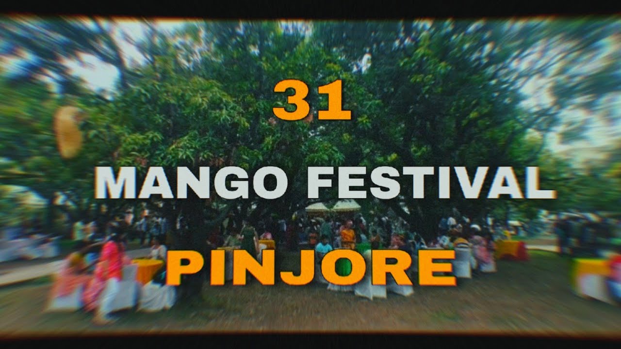 31 Mango Festival Pinjore Mango Mela 2024 Vlog - YouTube