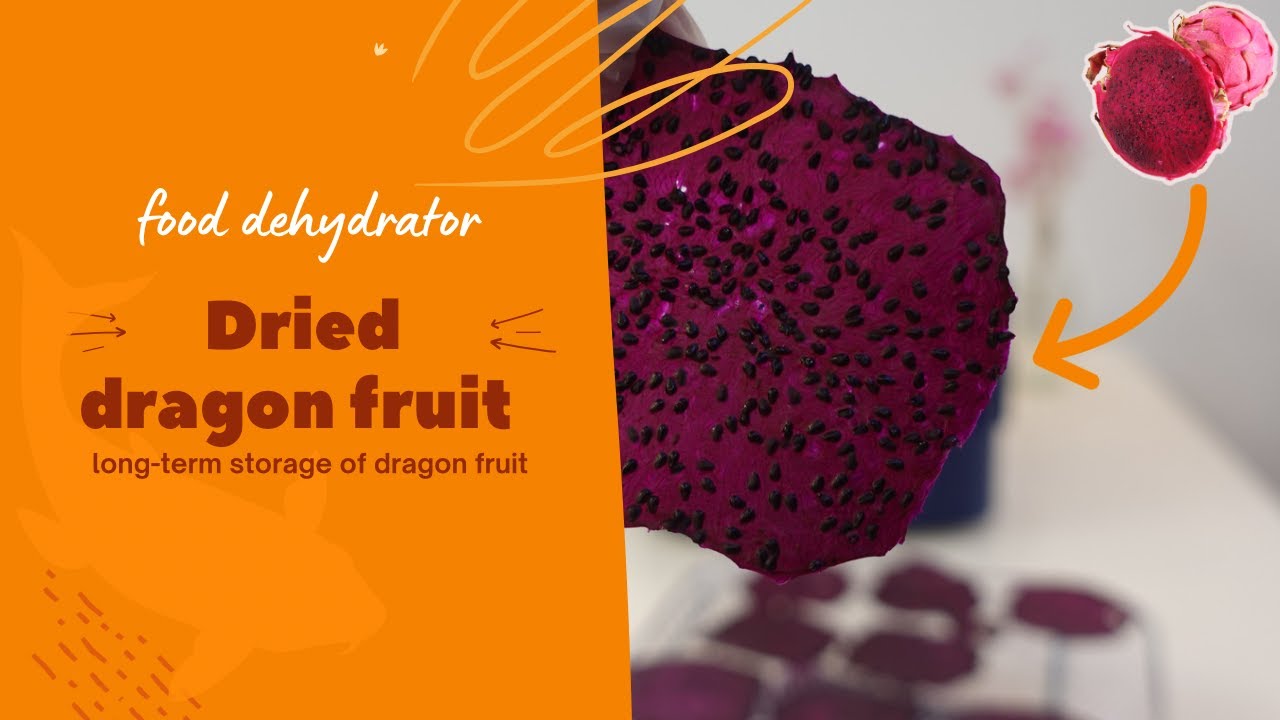 Home DIY Dry Dragon Fruit Slices Using a Food Dehydrator - YouTube