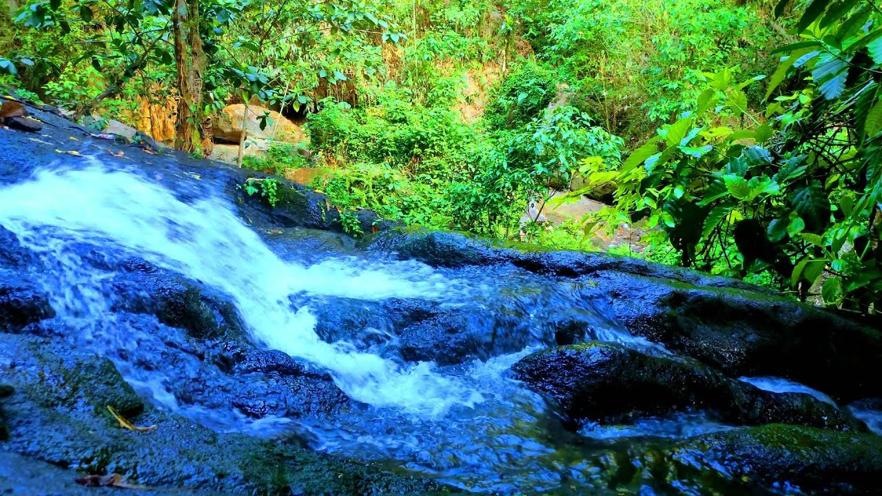 Calming and therapeutic effects of gentle elevated water flows for ...