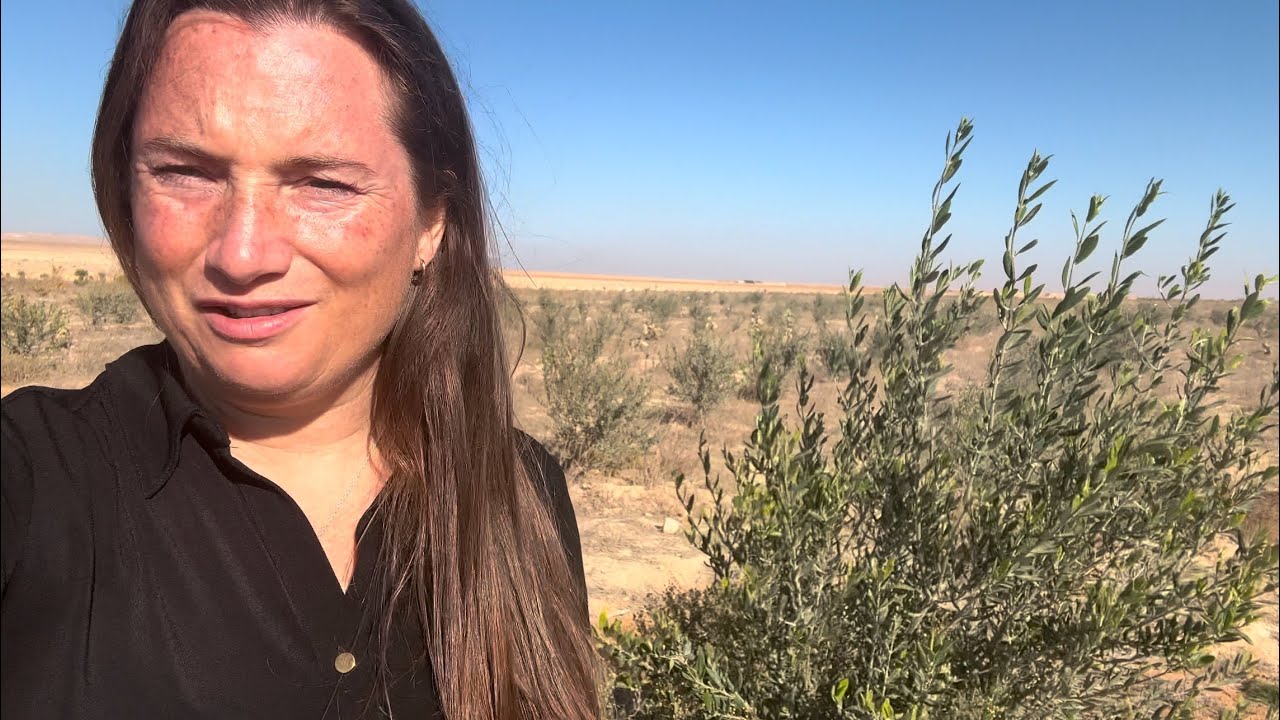 Syrian Desert Farm November 2024 Samara’s Aid Appeal Regreening The Desert Making The Desert ...