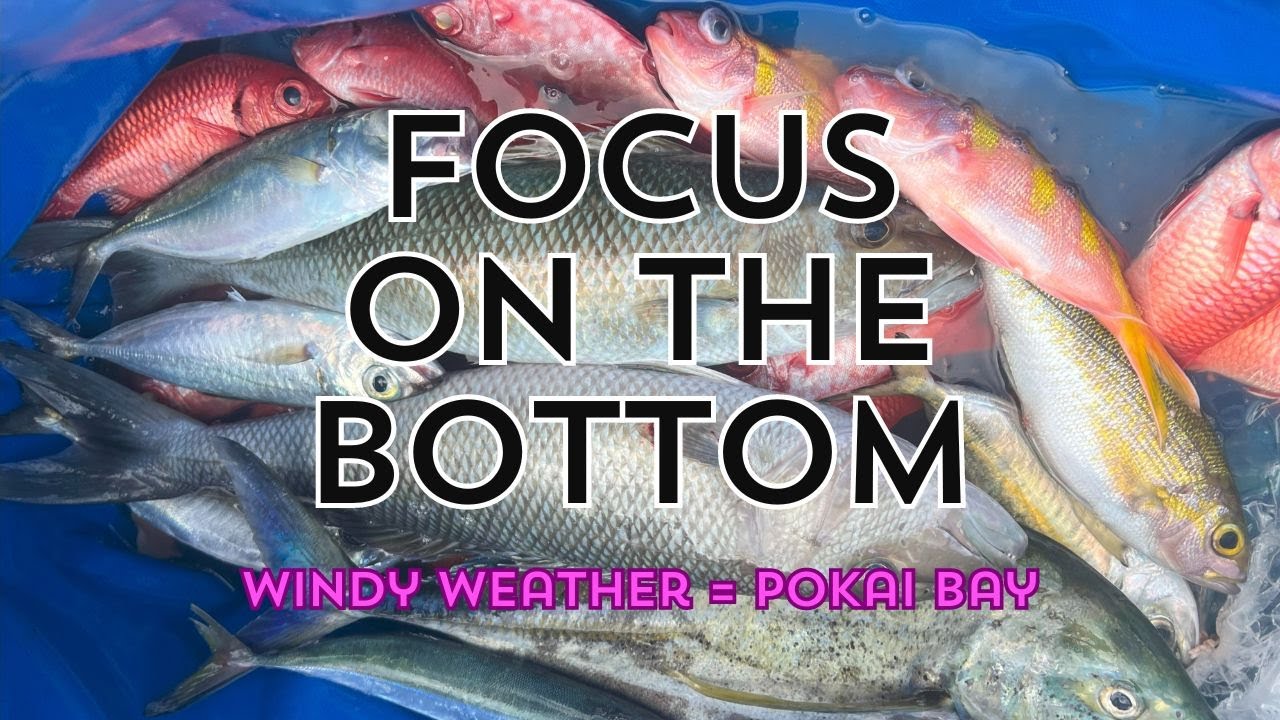 FOCUS ON THE BOTTOM | Pokai Bay | Kayak Fishing Hawaii - YouTube