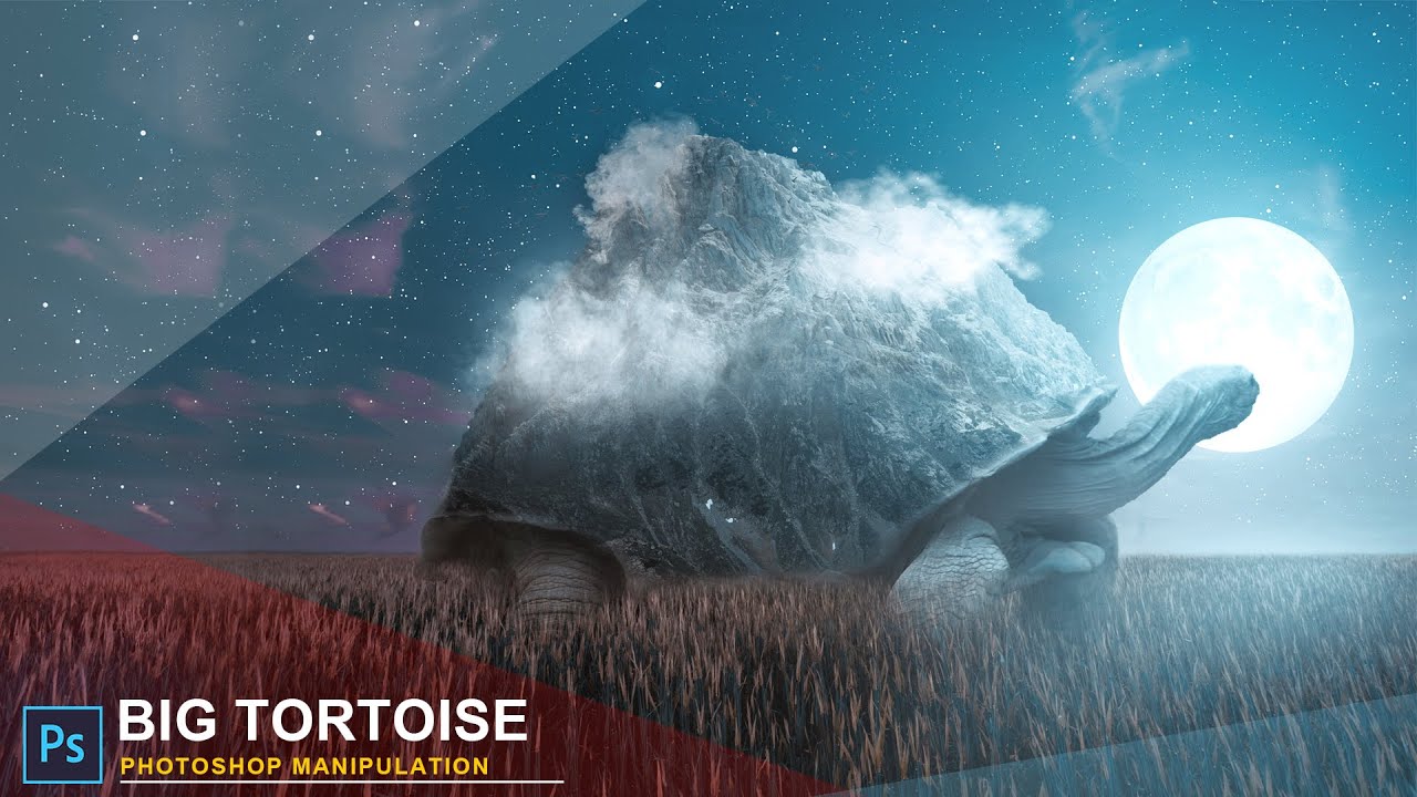 Big Tortoise - Manipulation Effect | Photoshop Tutorials 2021 . - YouTube