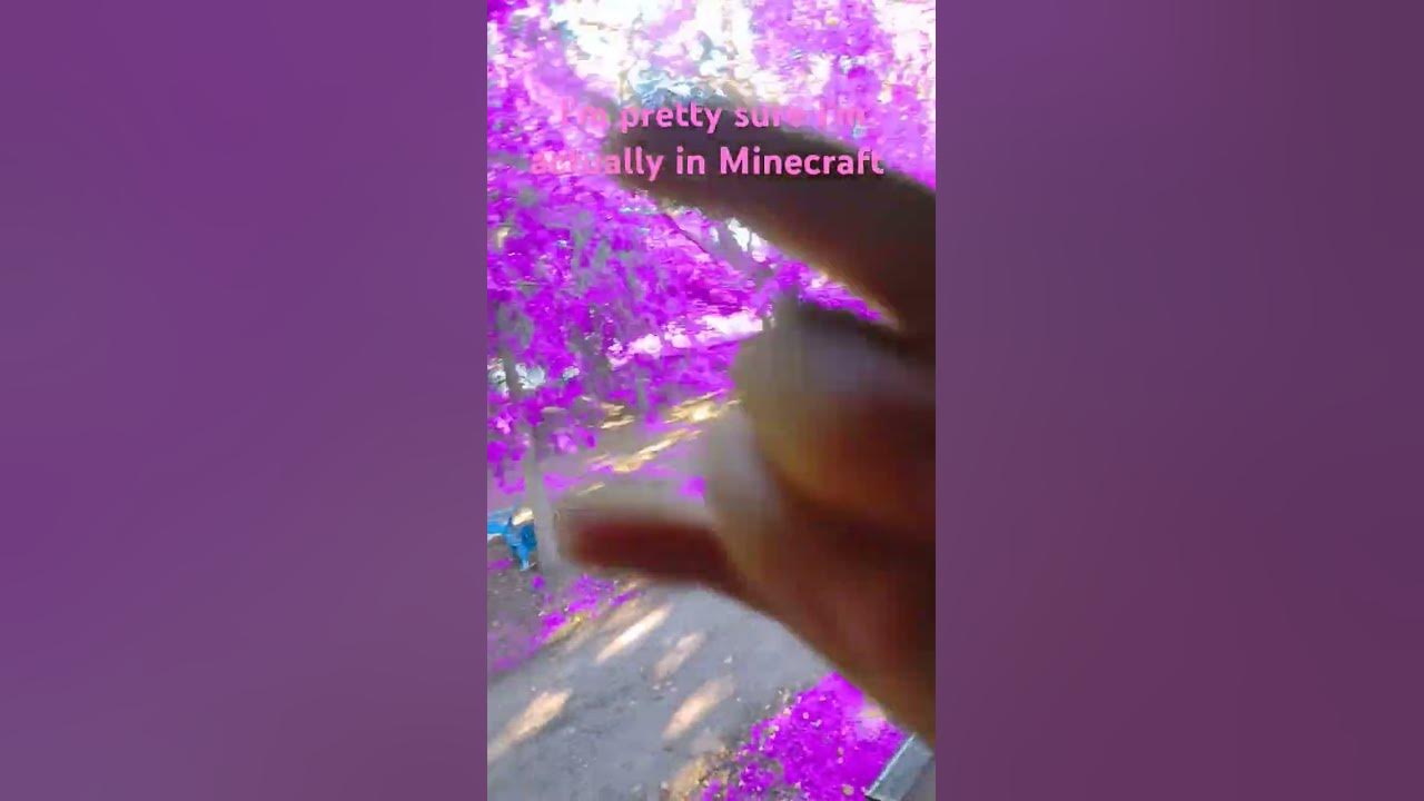 I Found Real Life Pink Trees In Minecraft YouTube i-found-real-life-pink-trees-in-minecraft-youtube