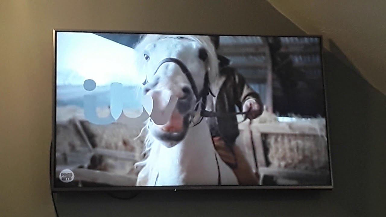 ITV Horse Ident 2013. - YouTube