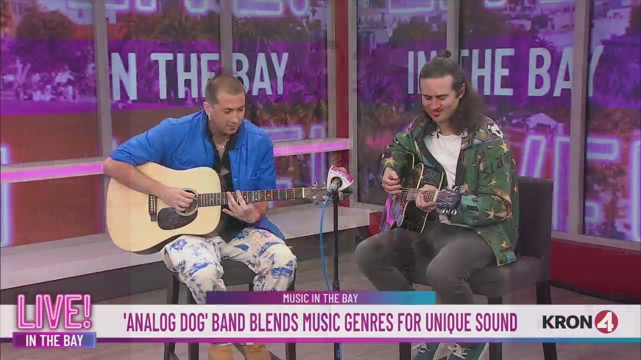 Performance: 'Analog Dog' band blends music genres for unique sound ...