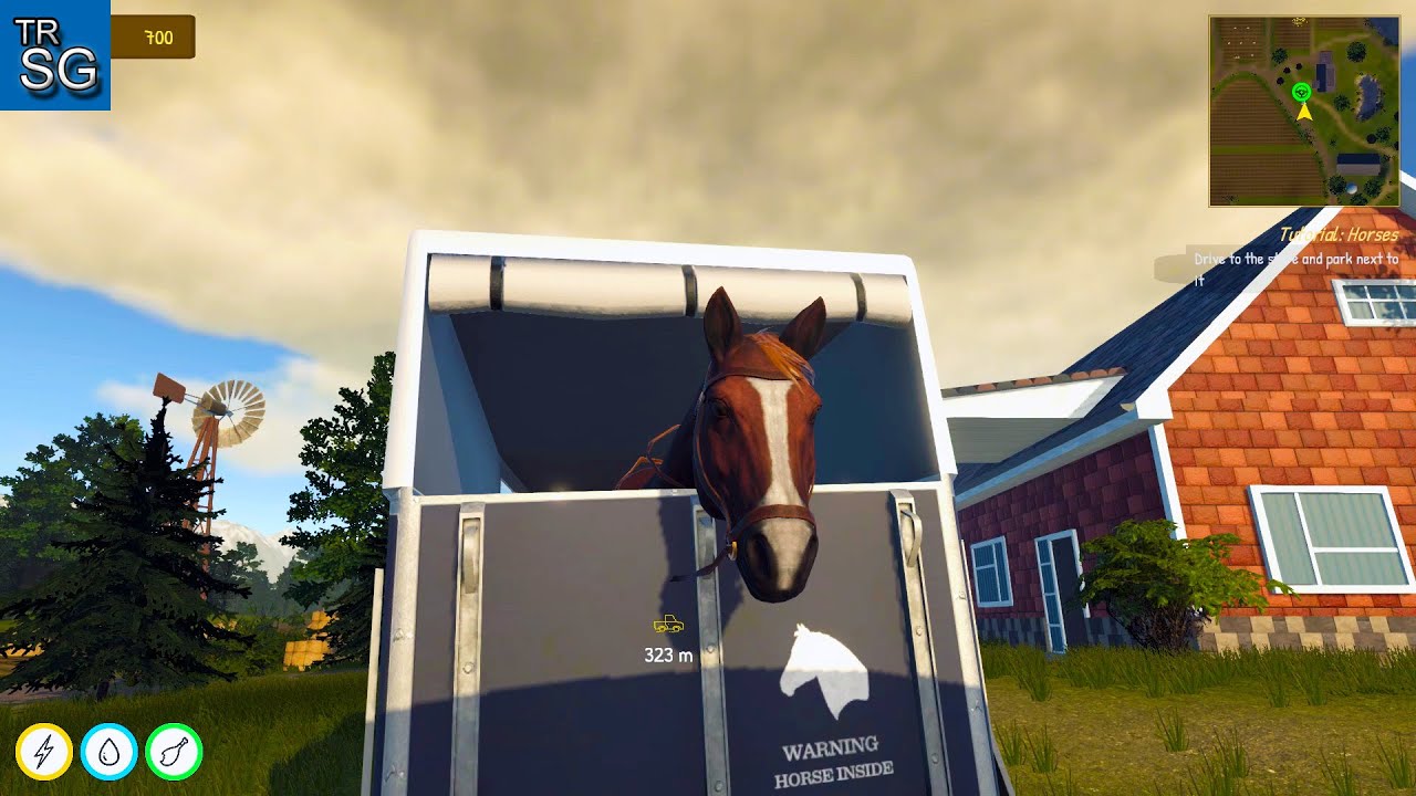 Open and Manage your Own Animal Training Center - Animal Trainer ...