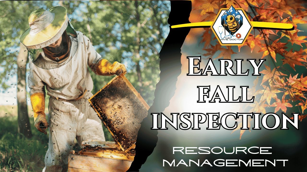Fall Inspection & Resource Management - YouTube