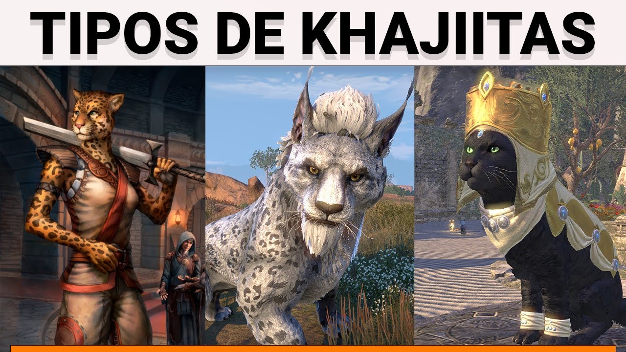 17 TIPOS DE KHAJIITAS | The Elder Scrolls - YouTube