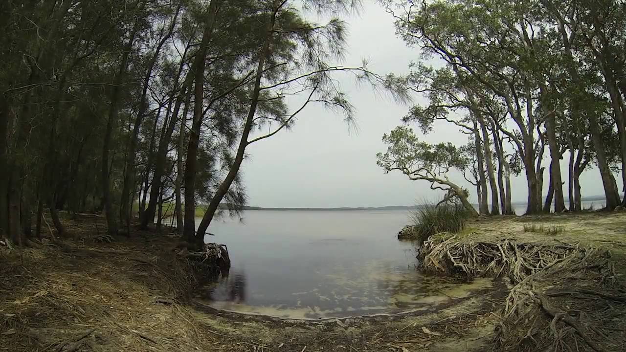 The Wells Campground, Myall Lake National Park, Near Tea Gardens, NSW ...