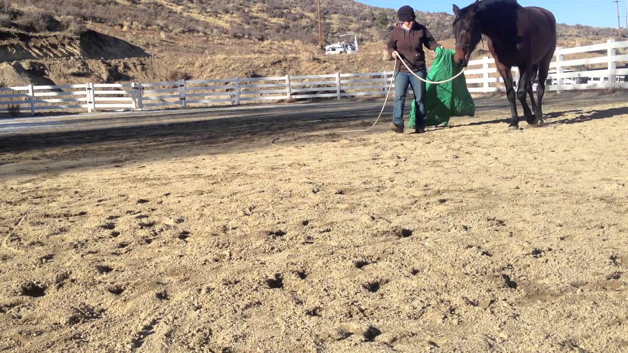 Sarah, Finn & the Tarp - YouTube