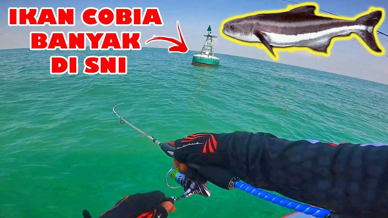 JIGGING DI TUKUN PENAGA FT YouTubers Malaya (Chai Fishing, Sisek Malaya ...