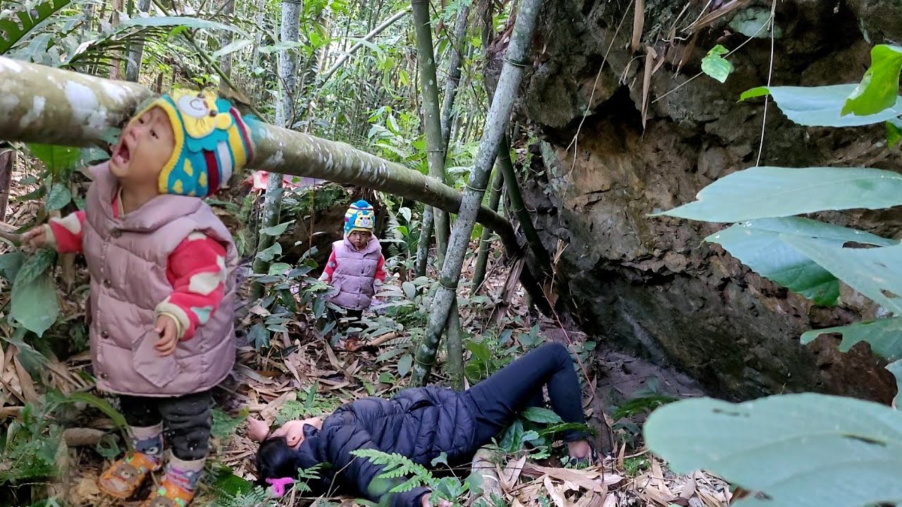 The mother and child were lost in the forest, the husband searched ...