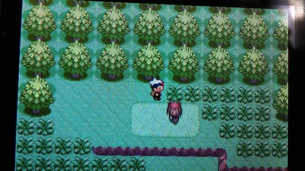 Let's Play Pokémon Ruby: Episode 2 - YouTube