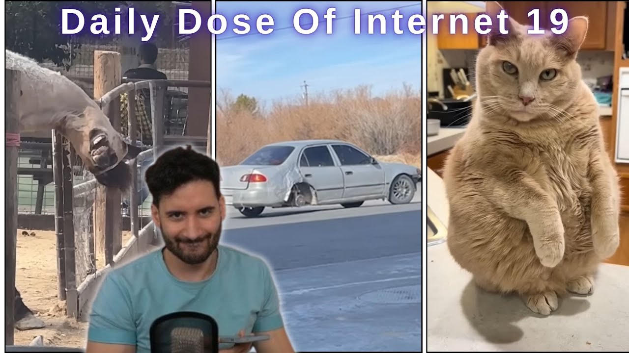 NymN reacts to Daily Dose Of Internet videos 19 - YouTube