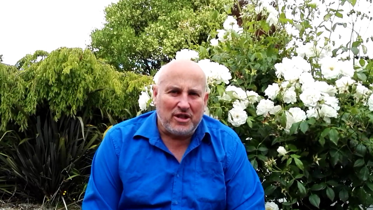 Mt Albert by Elections 2017 Peter Wakeman Vs 12 others 25/02/2017 - YouTube