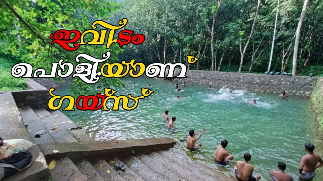 അടിത്തട്ട് വരെ കാണുന്ന ആനയടിയിലെ പാ റകുളം 🏊🏻‍♀️ | Kollam Anayadi Pond ...