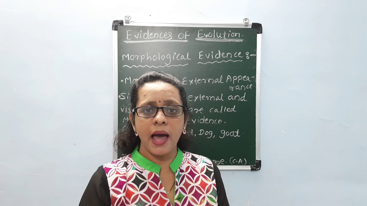 Evidences of Evolution - Part 2 | Explained in English & Marathi ...