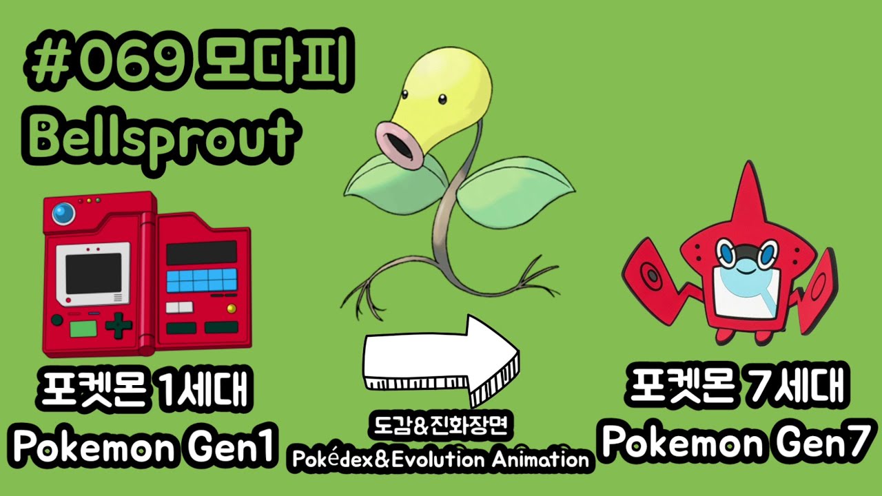 #069 Bellsprout Pokédex & Evolution Animation Gen 1-7 - YouTube