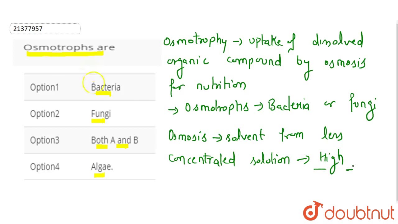 Osmotrophs are - YouTube