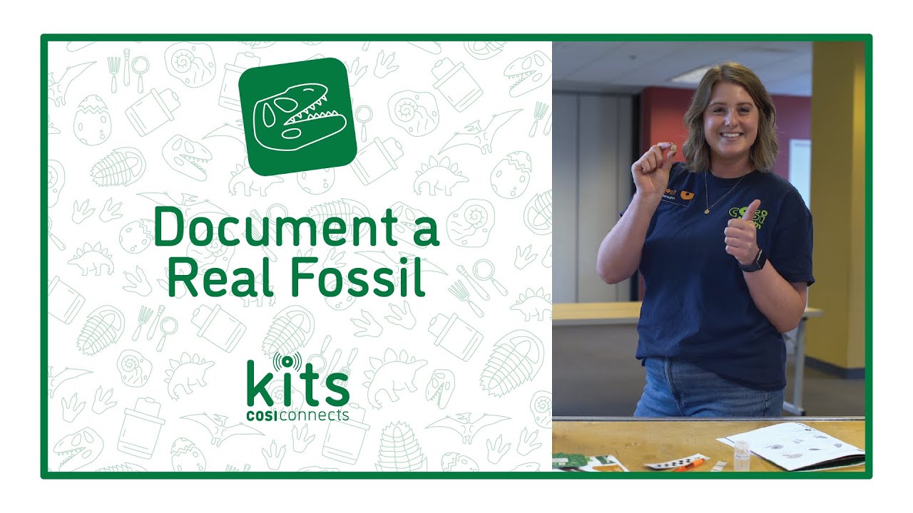 COSI Connects Dinosaur Kit - Activity Videos - Document a Real Fossil ...