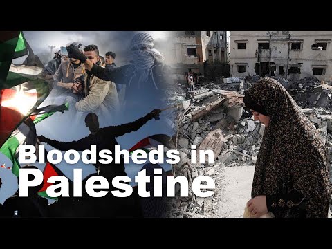 Persistent Bloodsheds in Palestine: Responding to the Killing of Ibrahim Nablus