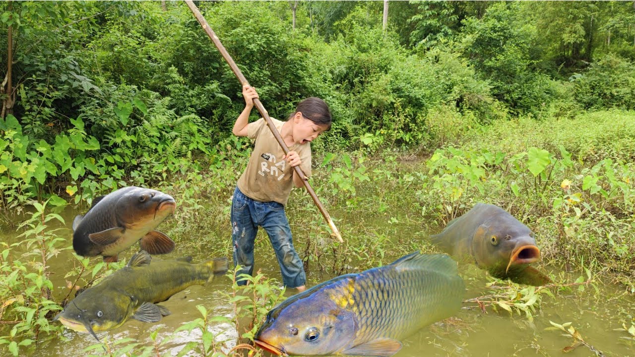 Orphan girl catches fish and cooks - YouTube