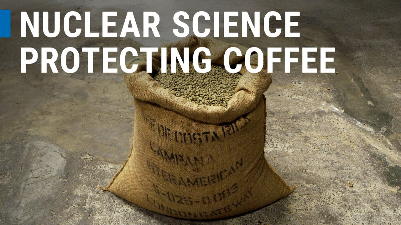 How Nuclear Science Uncovers the Story of Coffee - YouTube