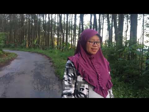 RUTINITAS BUMIL 9 BULAN // JALAN JALAN PAGI
