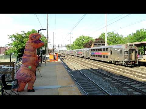 Dinosaur Watches Rush Hour Trains