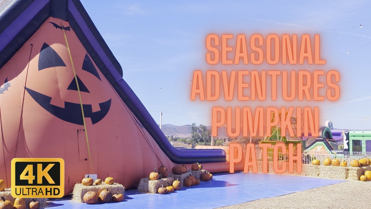 Seasonal Adventures Pumpkin Patch #halloween #halloween2024 #pumpkins - YouTube