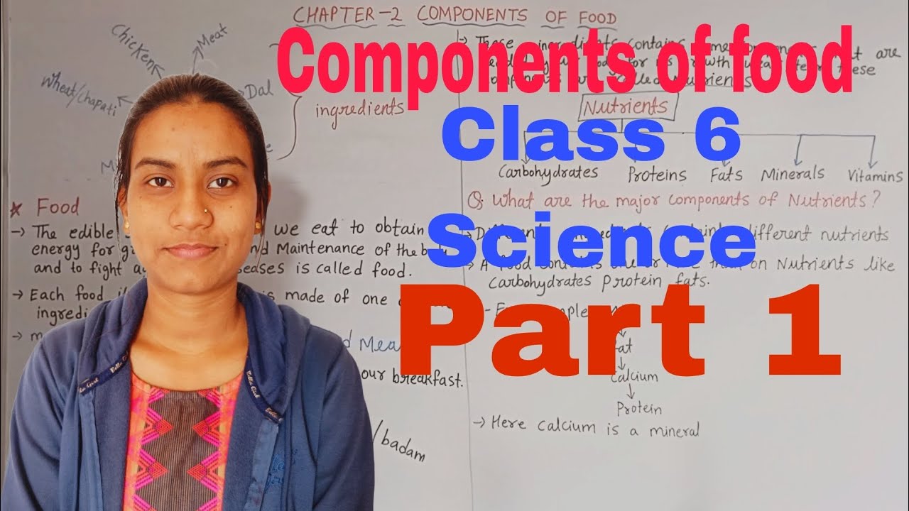 Class 6 # Science # Components of food (Part 1) - YouTube