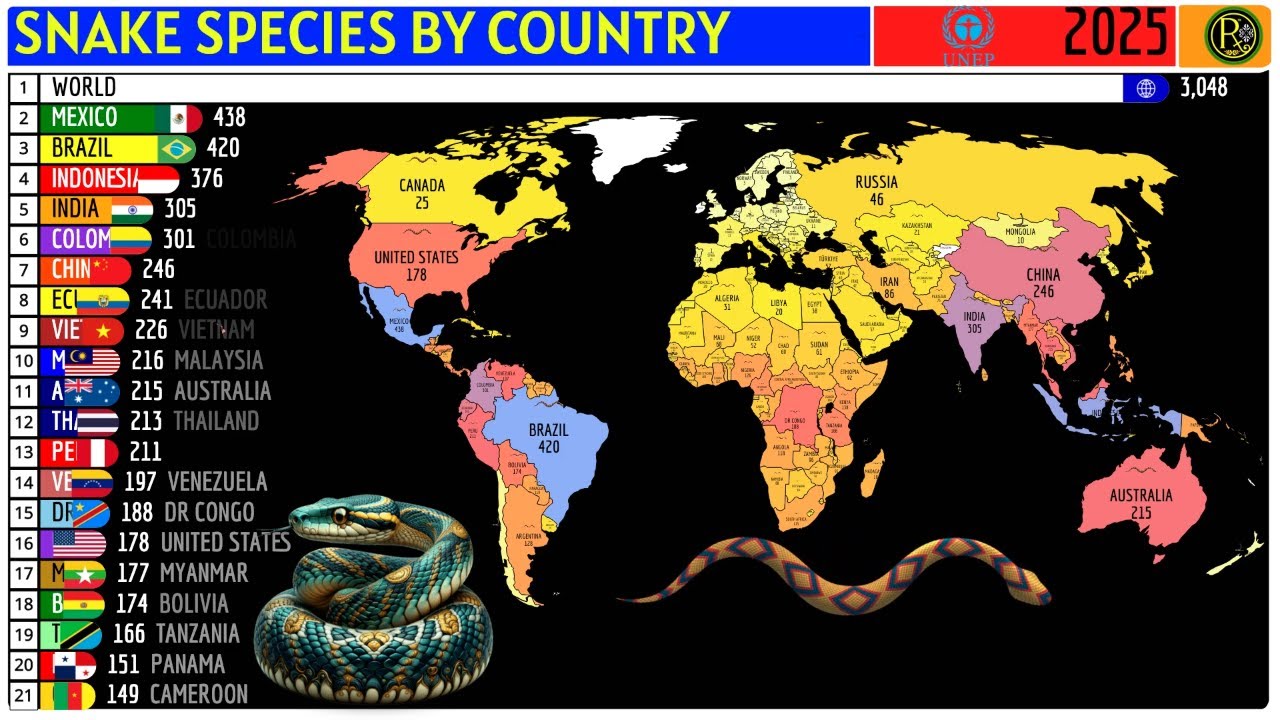 THE COUNTRIES WITH THE MOST SNAKE SPECIES IN THE WORLD - YouTube