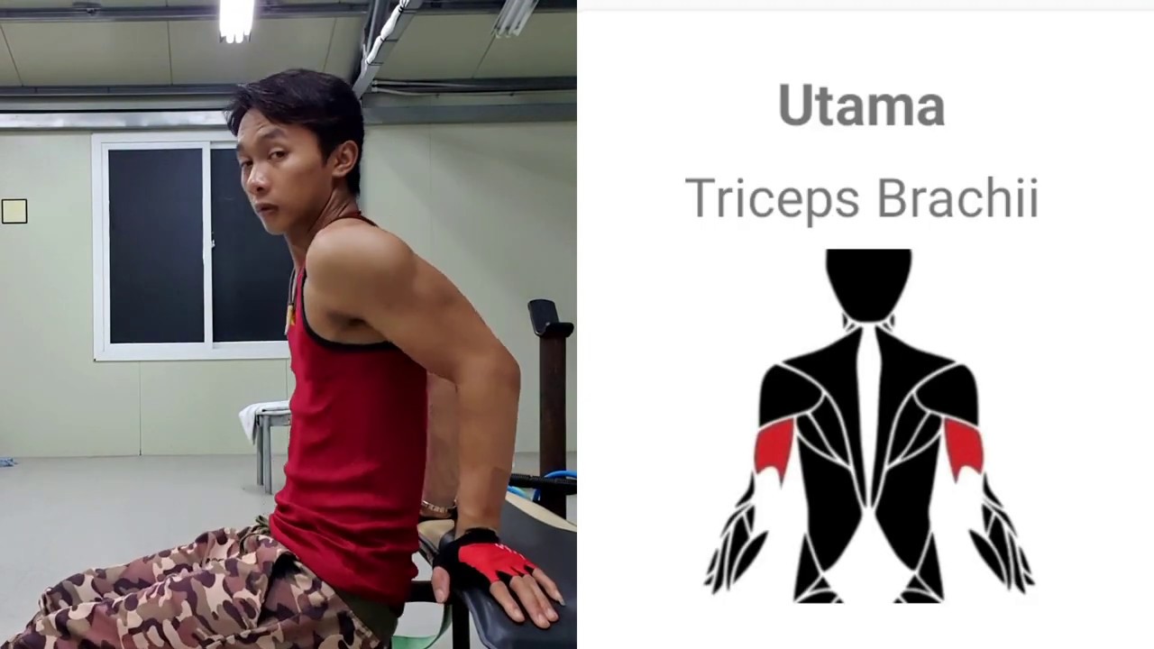Part 1 Tips Cepat Membentuk otot triceps!! Menjadi kekar||FAA - YouTube