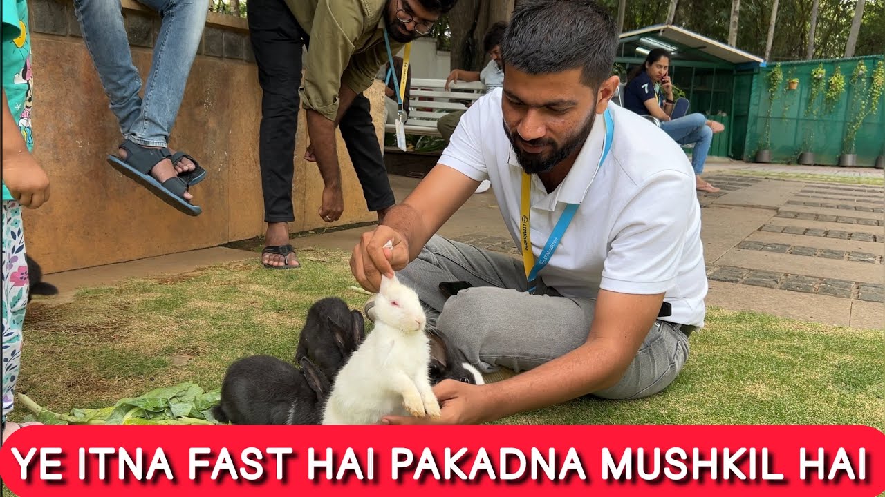 Ye Rabbits Itna Fast Hai Pakdana Mushkil Hai #vlog - YouTube