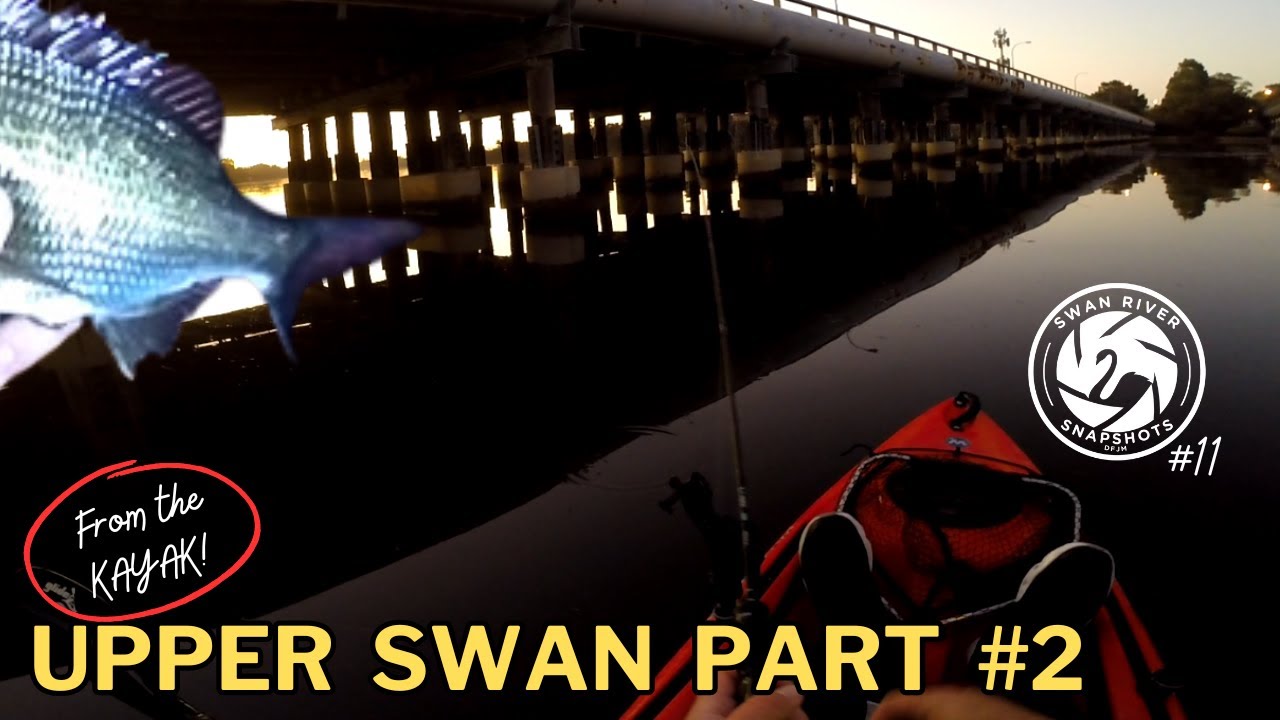 Upper Swan Odyssey Part 2 - Bream from the Kayak - YouTube