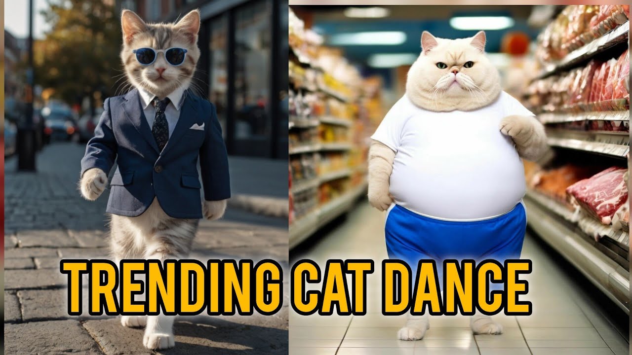 trending cat dance, new music,funny cat - YouTube