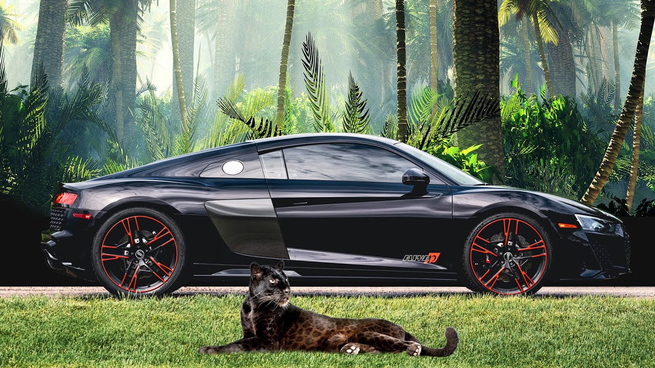 RAREST R8 IN NORTH AMERICA BUILT TO 1300WHP | 1 OF 30 Panther Edition ...