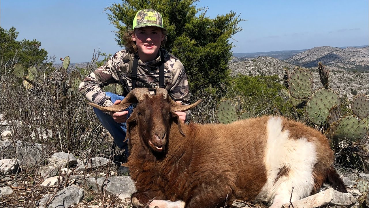 BlackBuck and Catalina goat hunt! - YouTube